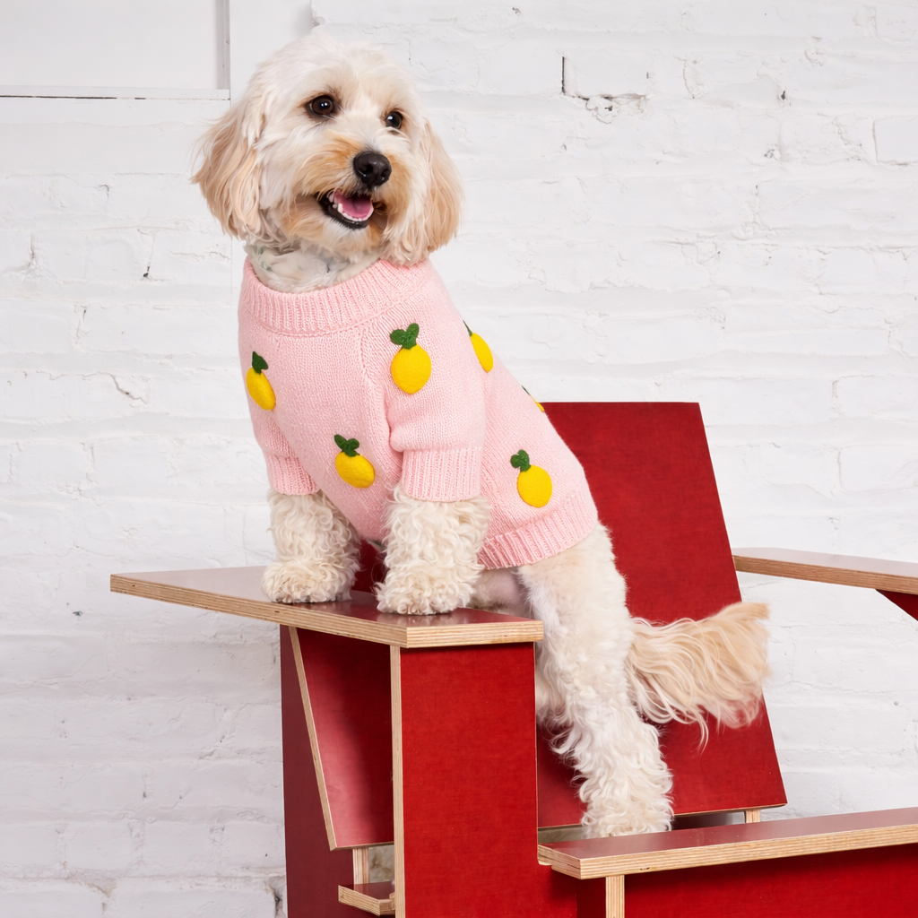 Found My Animal Lemon 3D Icon Sweater