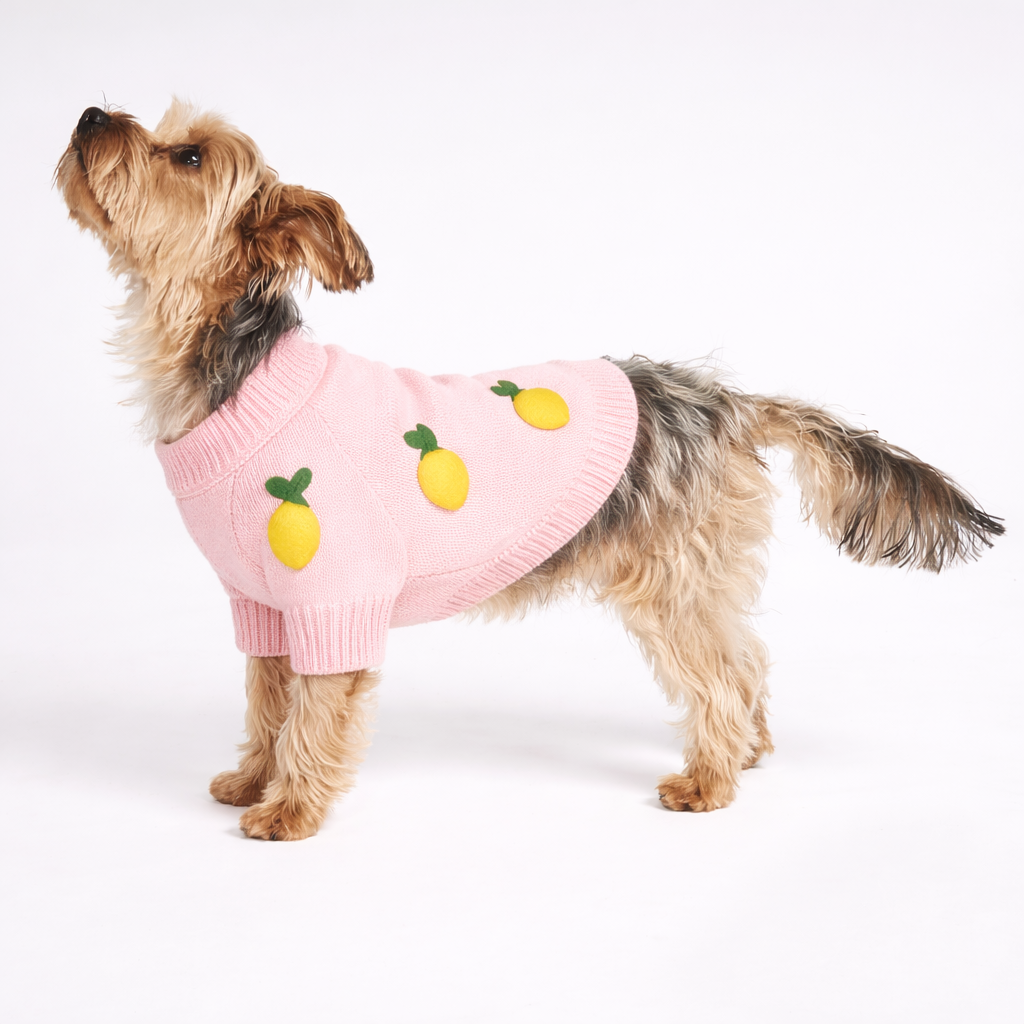 Found My Animal Lemon 3D Icon Sweater