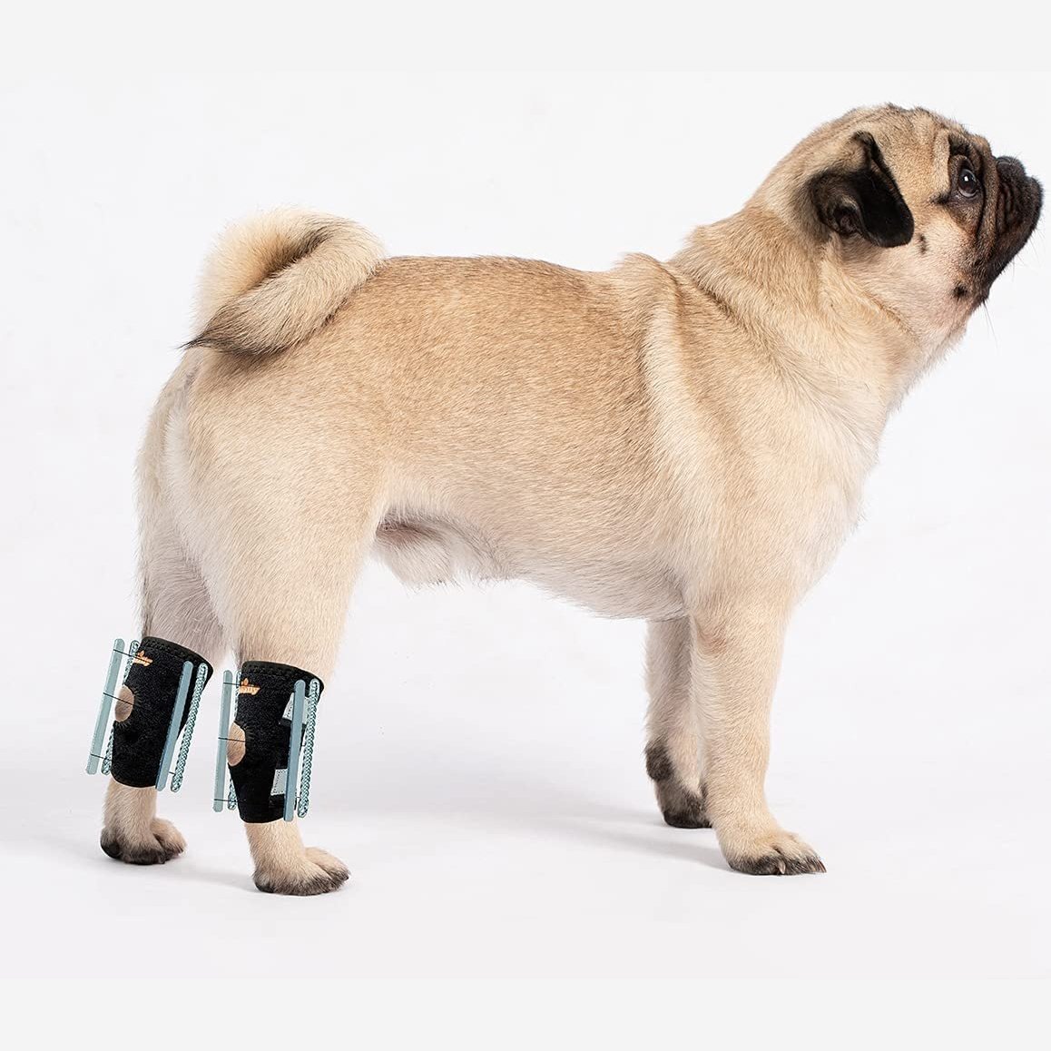 NeoAlly 3-in-1 Short Rear Leg Hock Brace for Smaller Dogs with Rigid a